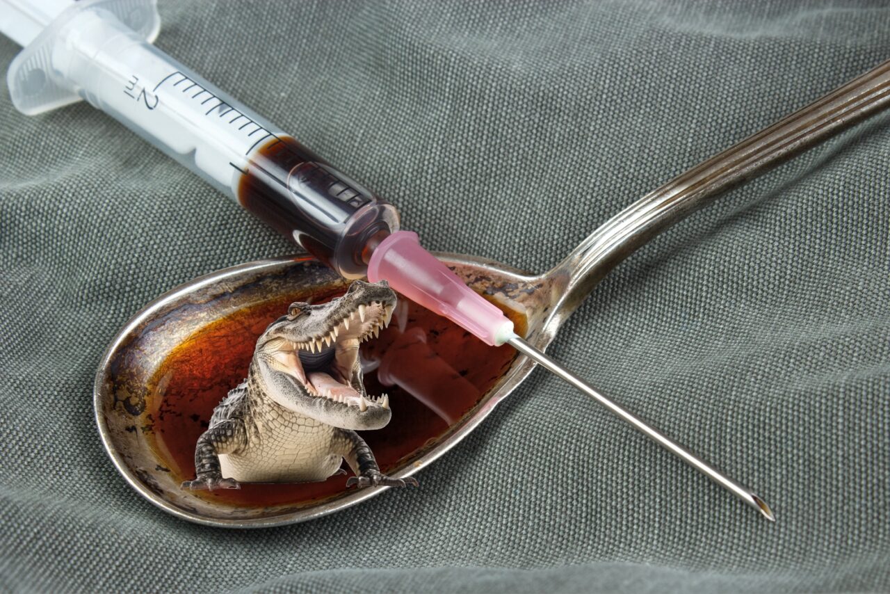 Desomorphin - Krokodile - Drug Abuse